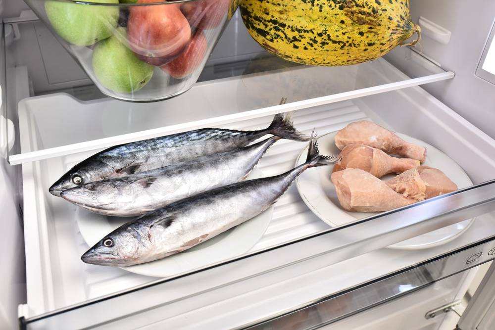 Dondurucuda Saklanabilen Yiyeceklerin Muhafaza Süreleri