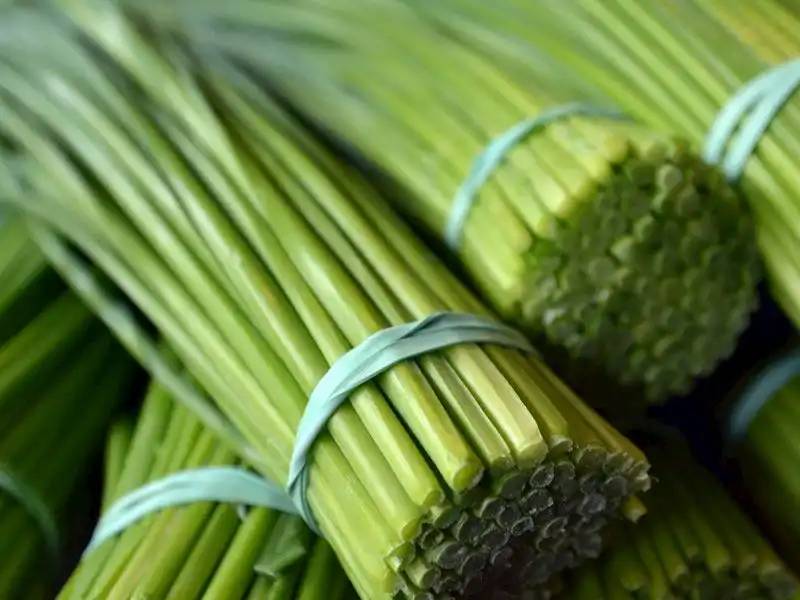 Kenelerin Nefret Ettiği O Kokular: Keneleri Uzak Tutmak İçin Bahçeye ...