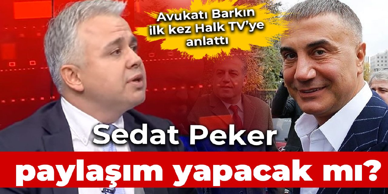 Sedat Peker yeni paylaşım yapacak mı? Avukatı Ersan Barkın Halk TV'de soruları yanıtladı